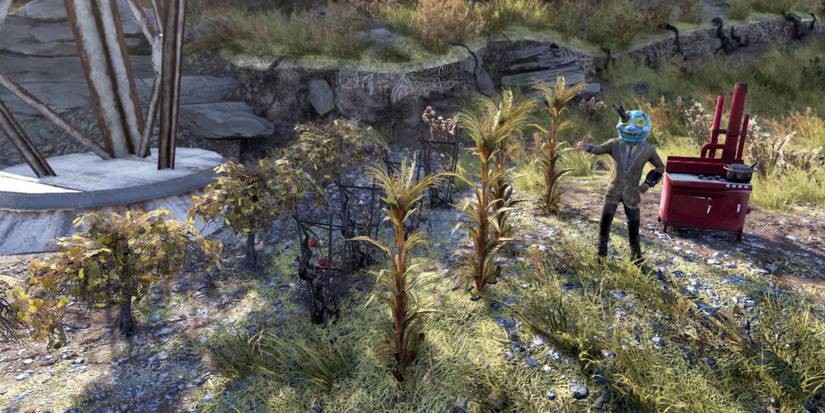 The Best Ways To Get Adhesive In Fallout 76