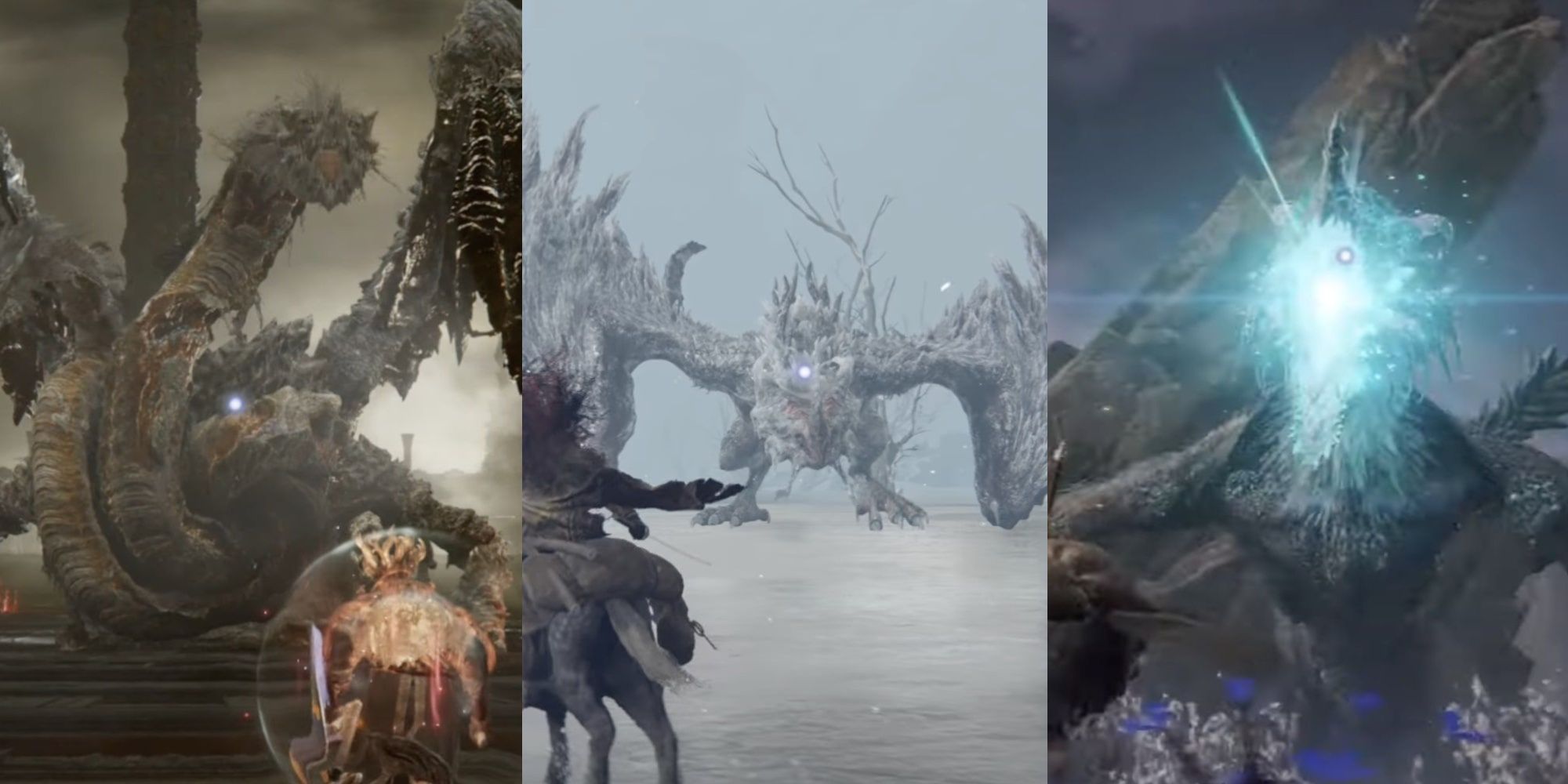 How To Turn Into A Dragon In Elden Ring: Shadow Of The Erdtree
