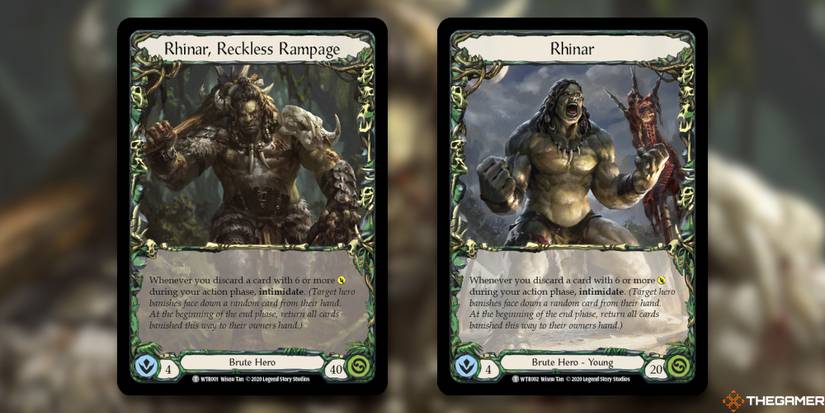 The Best Heroes For Every Class In Flesh And Blood
