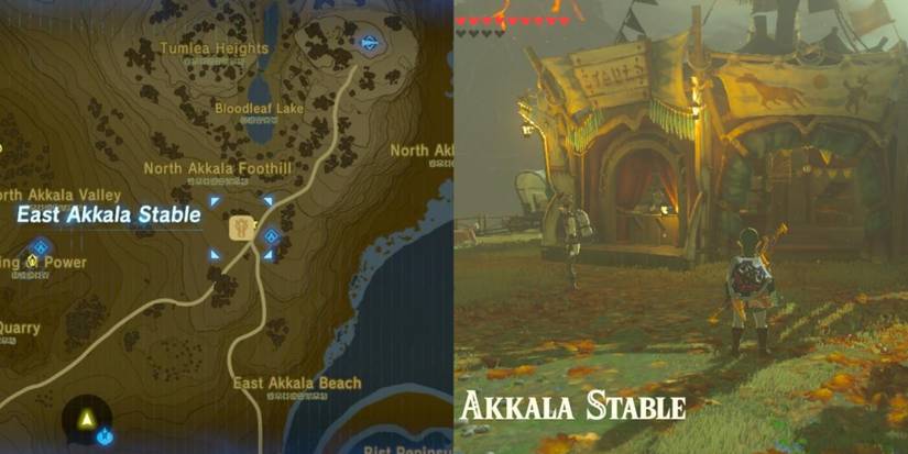 How To Complete A Shady Customer Side Quest In Zelda BotW