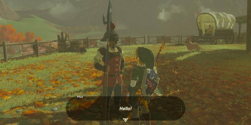 How To Complete A Shady Customer Side Quest In Zelda BotW