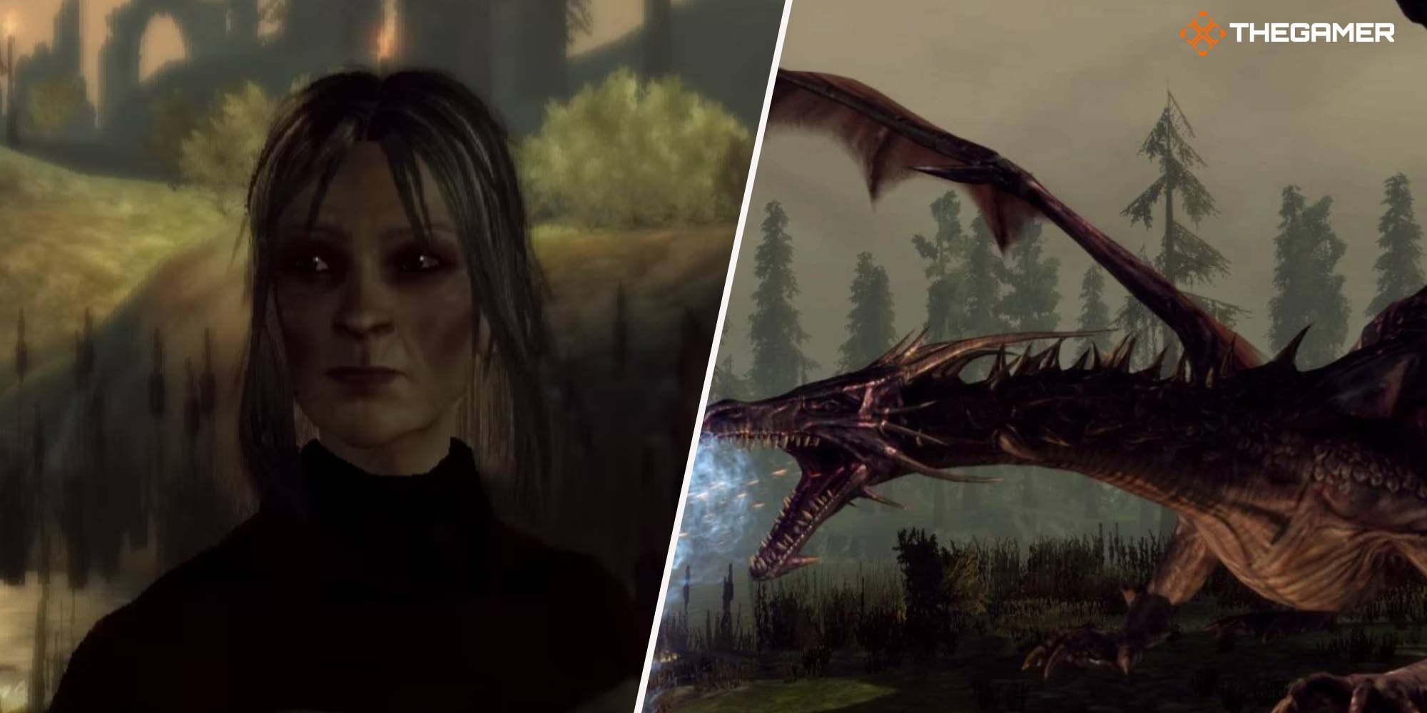 How To Defeat Flemeth In Dragon Age: Origins