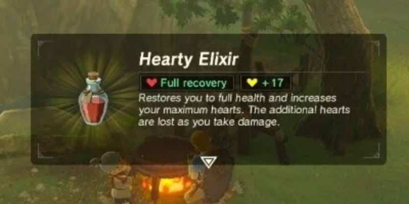 8 Best Elixirs In Breath Of The Wild
