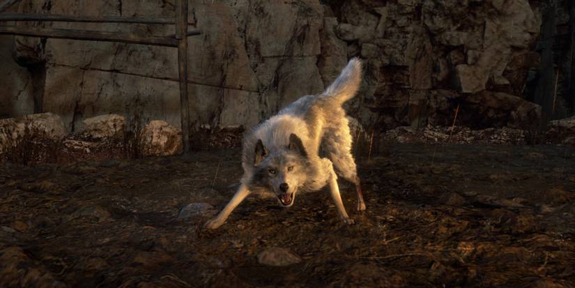 The Best Dog Allies In Horror Game History