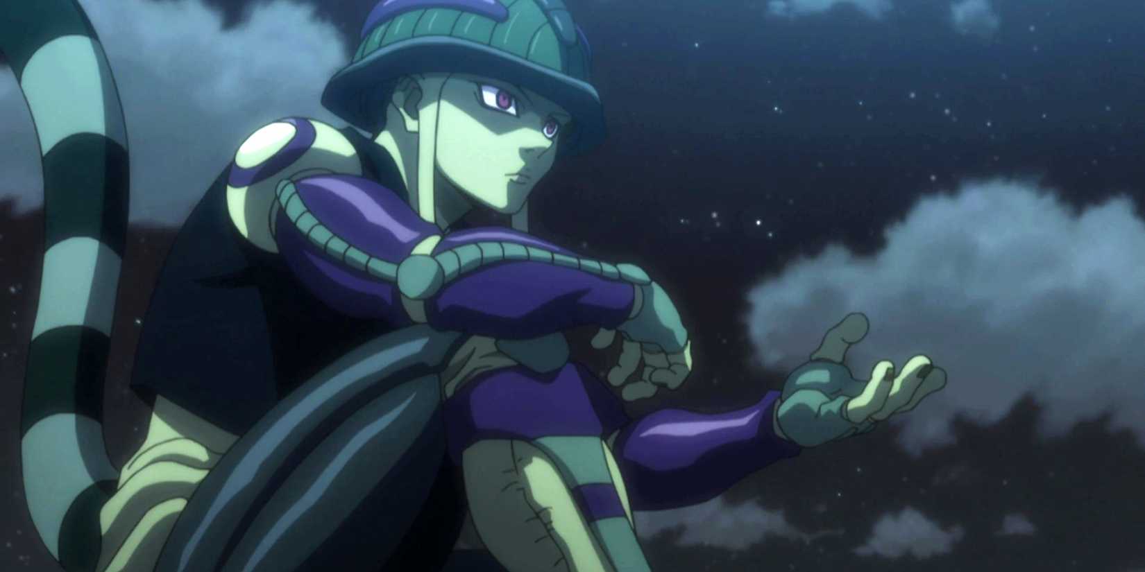 The Age, Height, And Birthday Of The Main HXH Characters