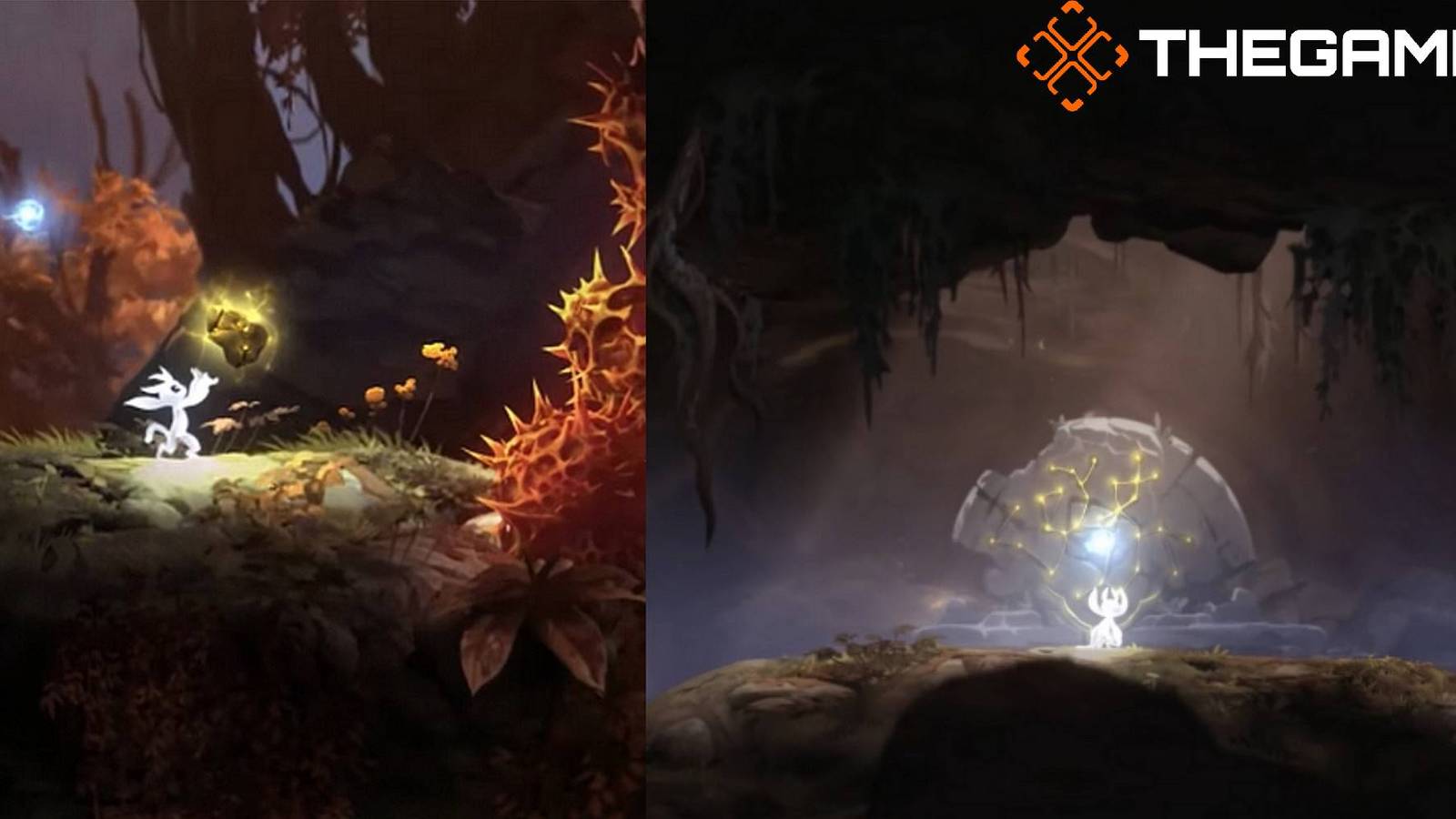 Where To Find Map Stones And Map Stone Fragments In Ori And The Blind ...