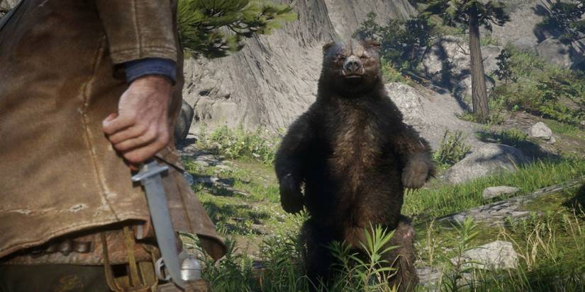 Where To Find Every Legendary Animal In RDR2