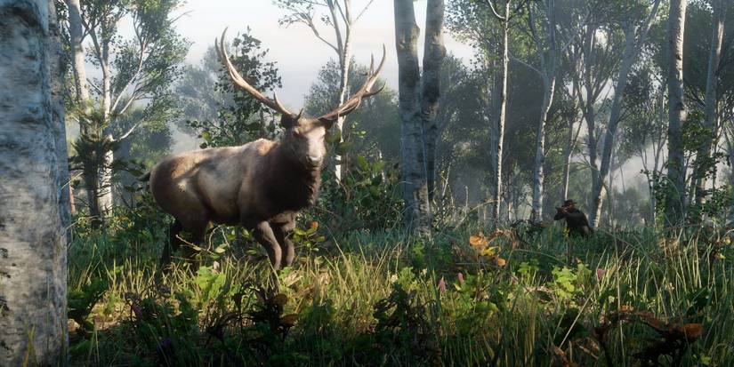 Where To Find Every Legendary Animal In RDR2