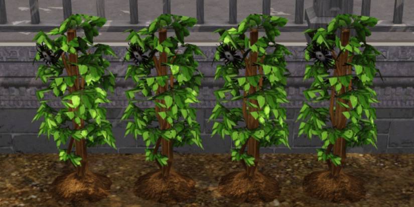 How To Get The Death Flower In The Sims 4