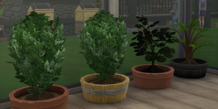 How To Get The Death Flower In The Sims 4
