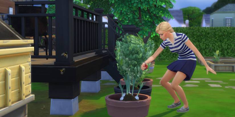 How To Get The Death Flower In The Sims 4