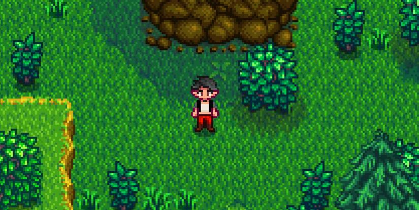 The Best Clothing Mods In Stardew Valley