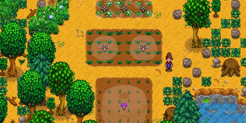The Best Fall Activities in Stardew Valley