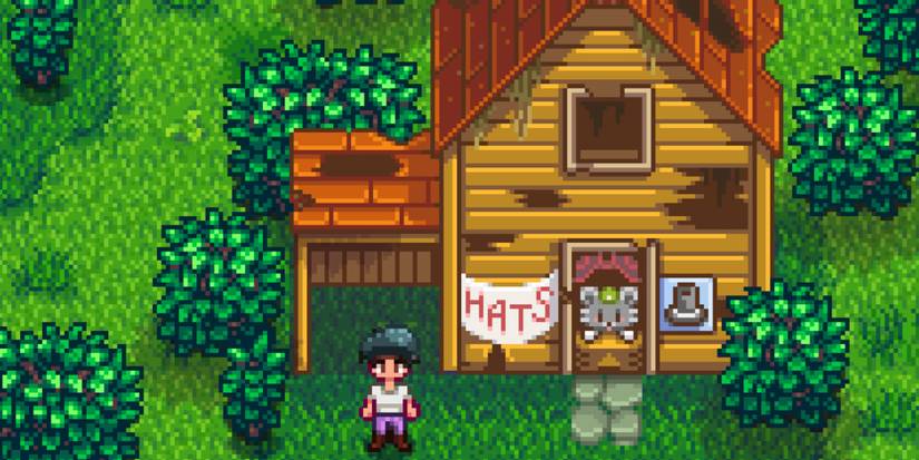 The Best Clothing Mods In Stardew Valley