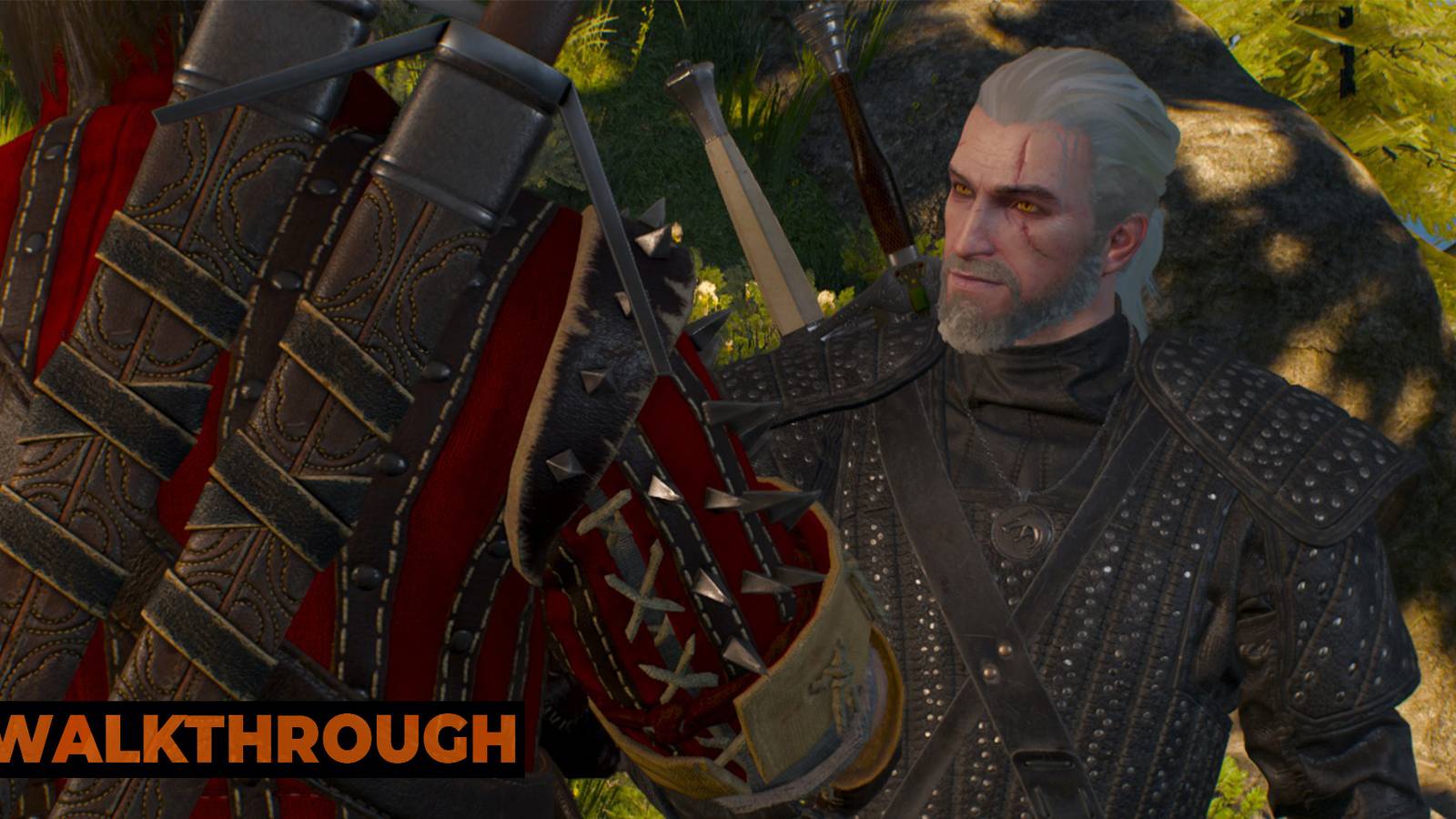 Where To Find The Cave In To Bait A Forktail... In The Witcher 3