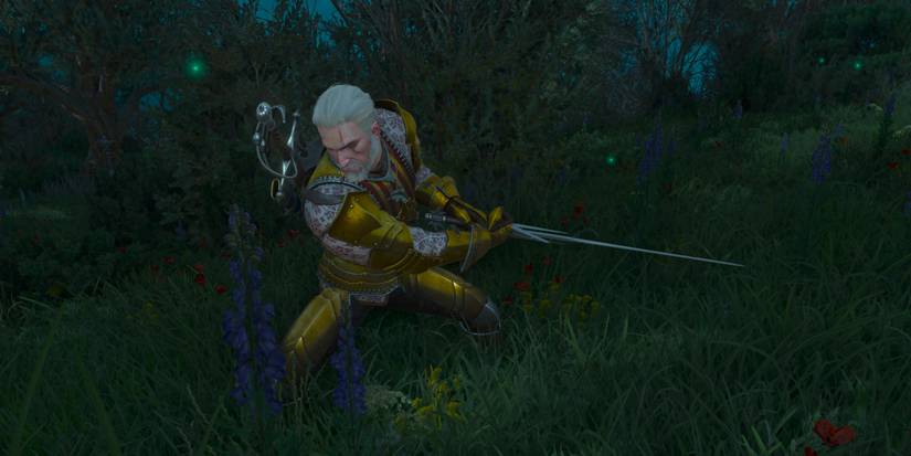 What Do Adrenaline Points Do In Witcher 3 | The Tube