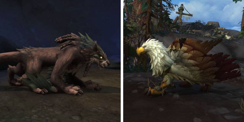 How To Get Every Hunter Skill Tome In WoW