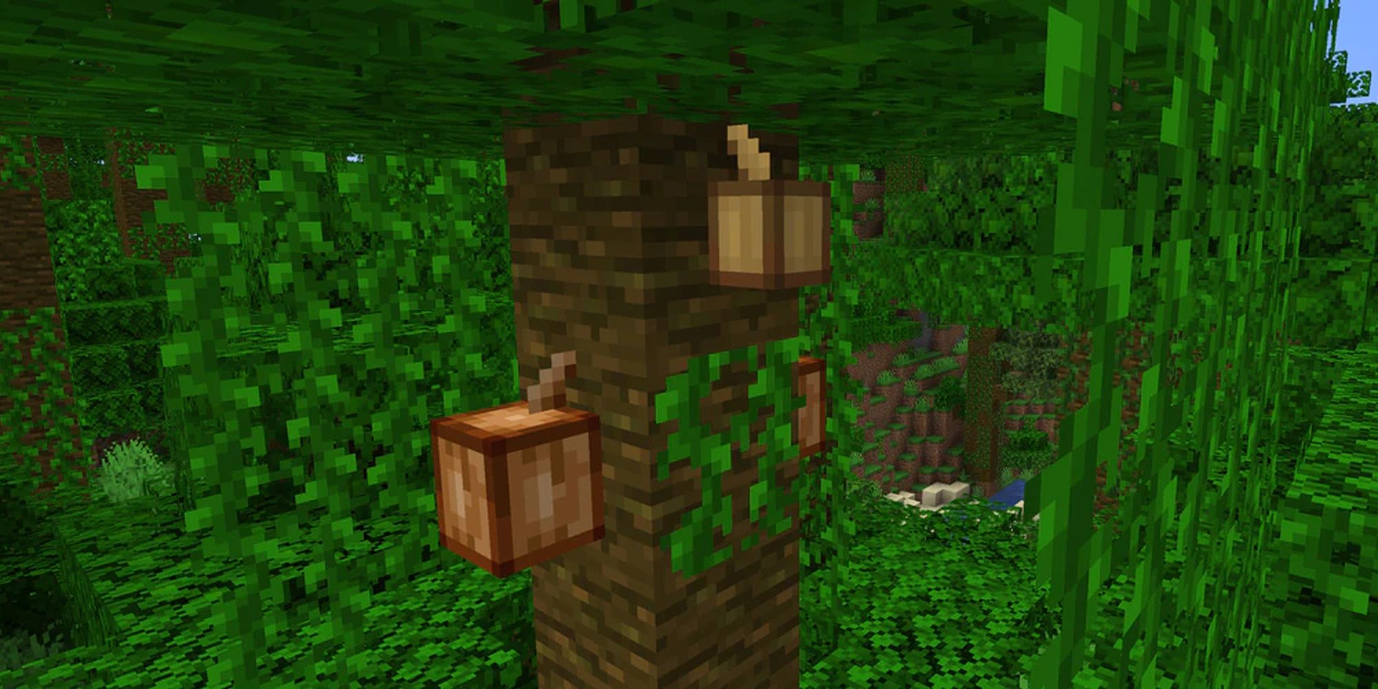 Minecraft: How To Grow Cocoa Beans