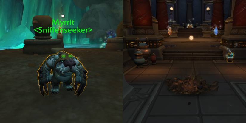 How To Farm Reputation With The Loamm Niffen In WoW Dragonflight