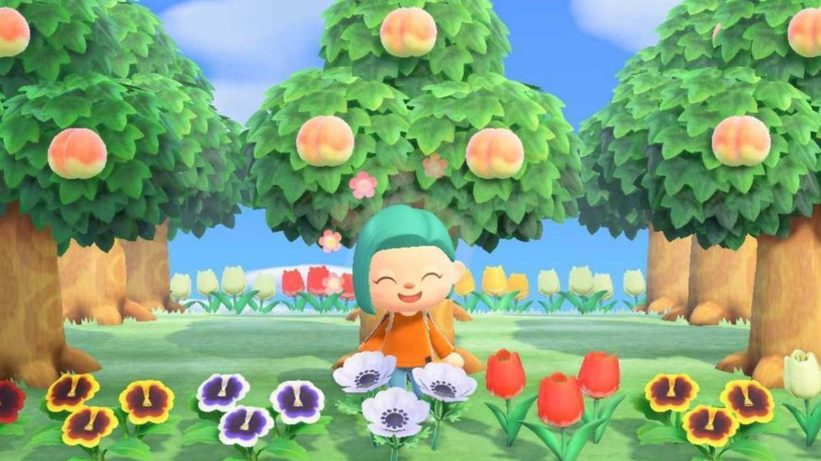 How To Design A Fruit Orchard In ACNH