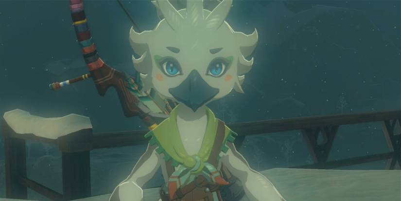 Zelda: Tears Of The Kingdom - References And Details From The Series