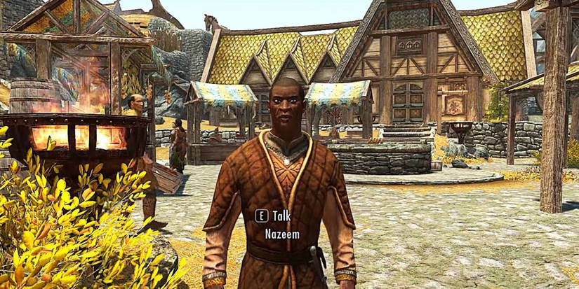 Skyrim: Great Role-Playing Ideas For Playthroughs