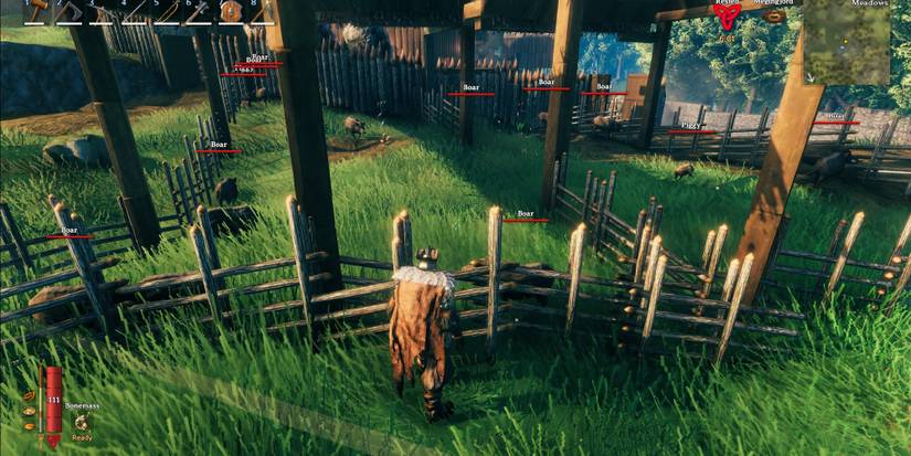 How To Tame And Breed A Boar In Valheim
