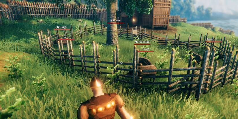 How To Tame And Breed A Boar In Valheim