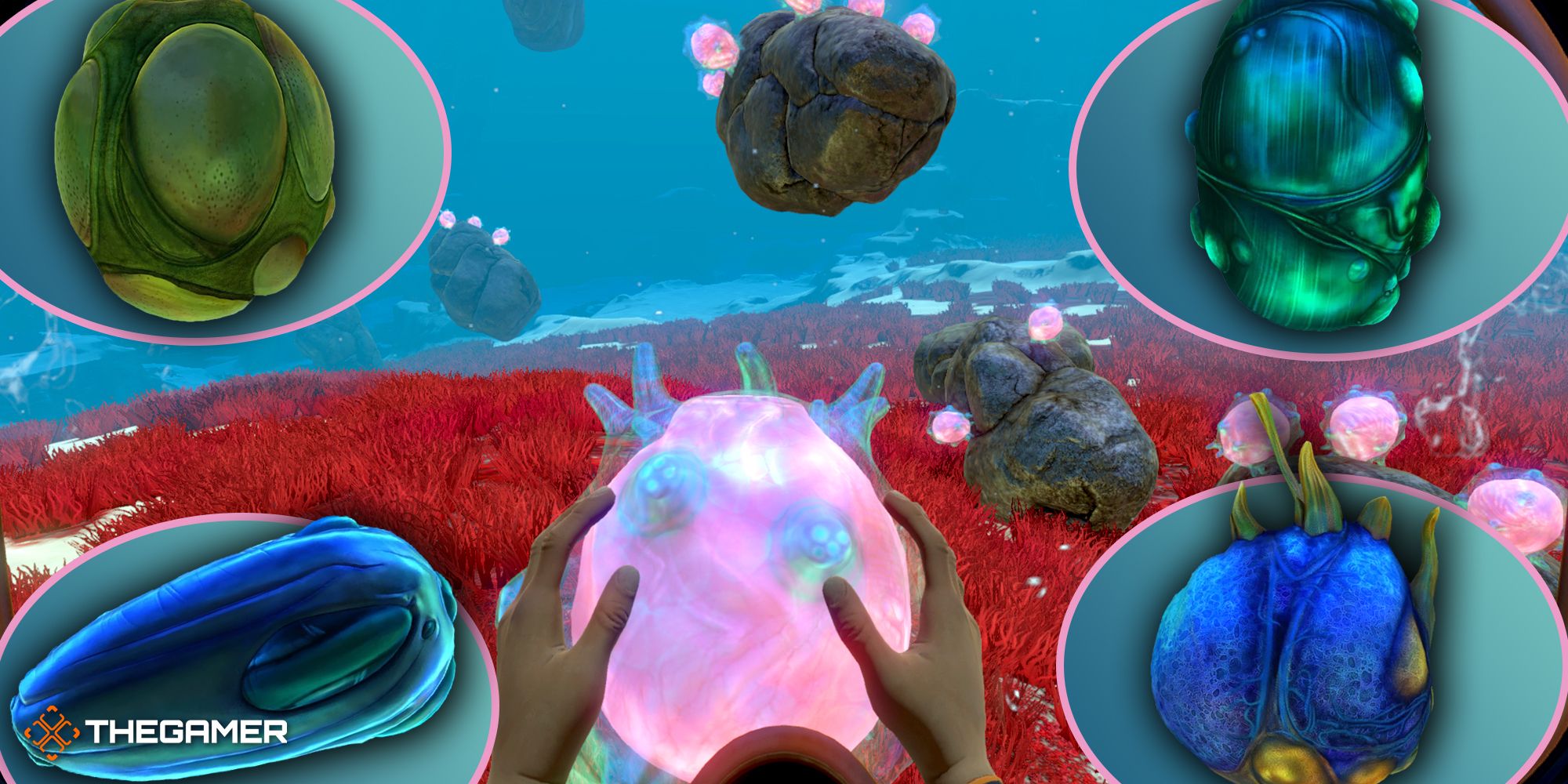 Every Creature Egg And Where To Find Them In Subnautica