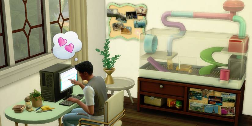 How To Learn Programming In The Sims 4