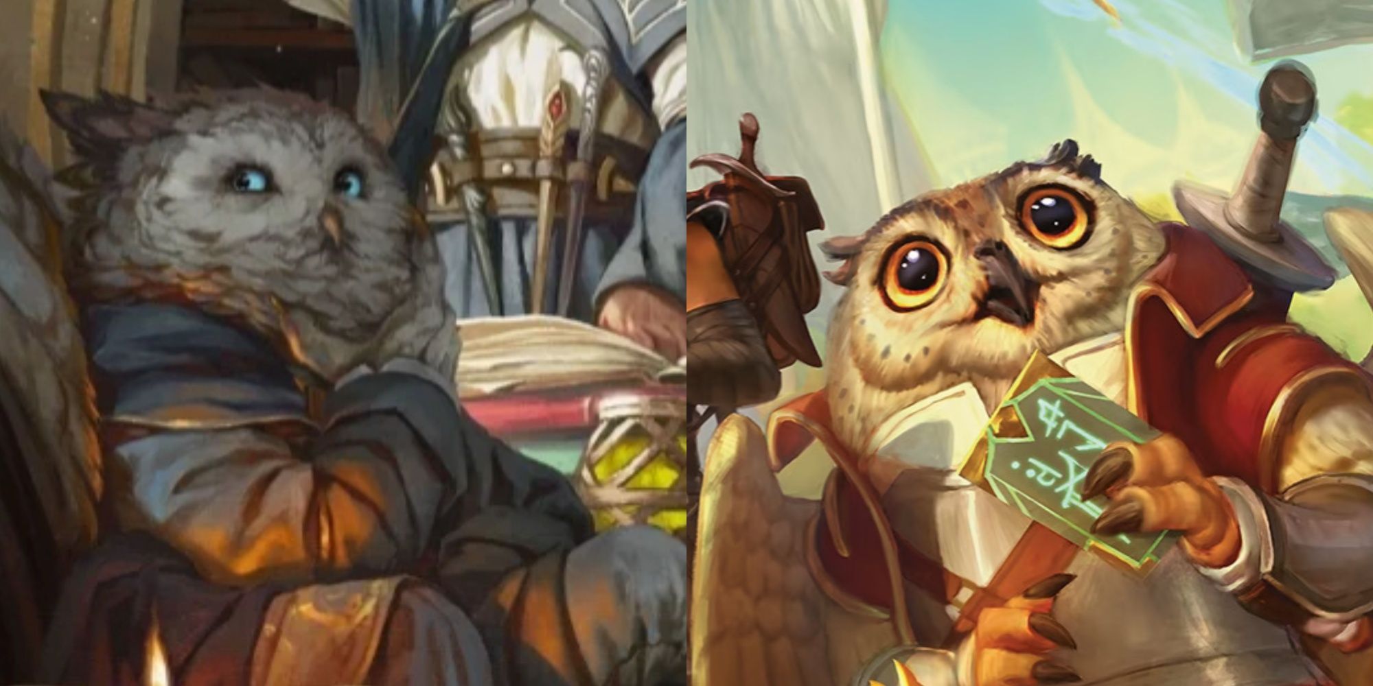 Tips For Playing As An Owlin In DnD