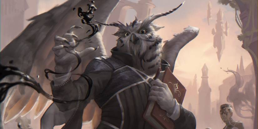 Tips For Playing As An Owlin In DnD