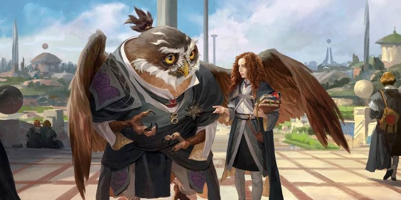 Tips For Playing As An Owlin In DnD