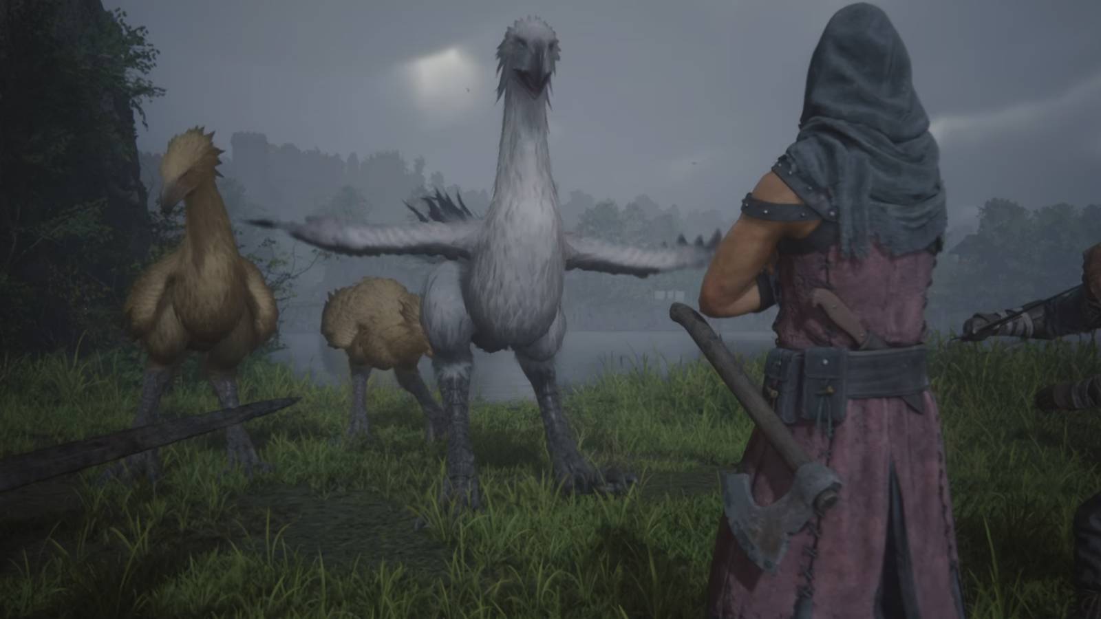 How To Complete White-Winged Wonder And Get A Chocobo In Final Fantasy XVI