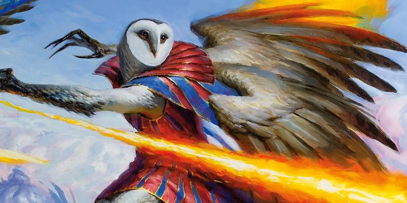 Tips For Playing As An Owlin In DnD