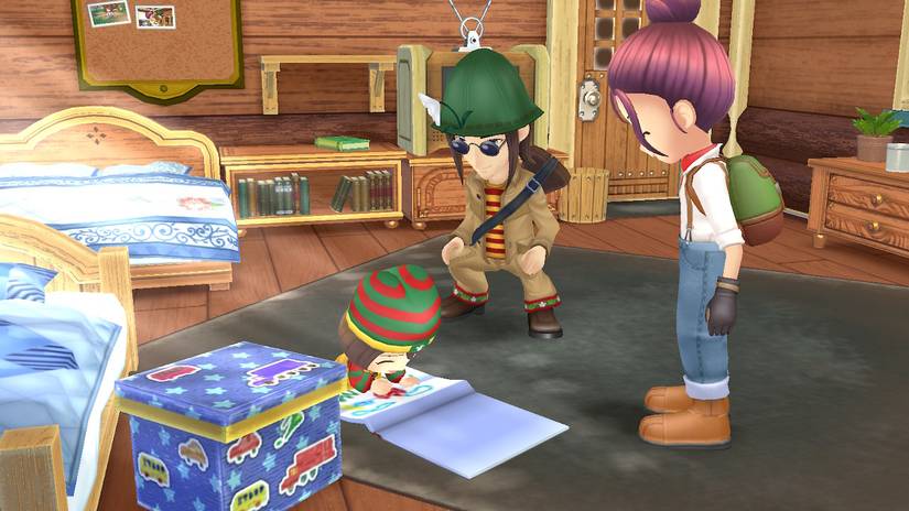 Frequently Asked Questions For Story Of Seasons: A Wonderful Life