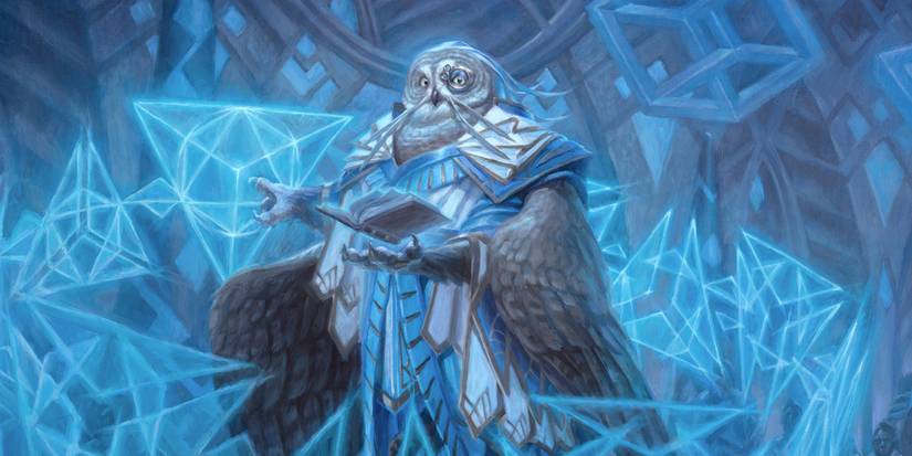 Tips For Playing As An Owlin In DnD