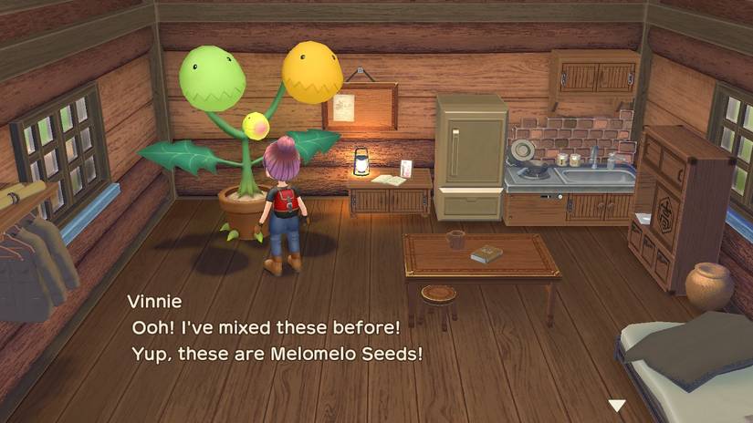 The Most Valuable Crops In Story Of Seasons: A Wonderful Life