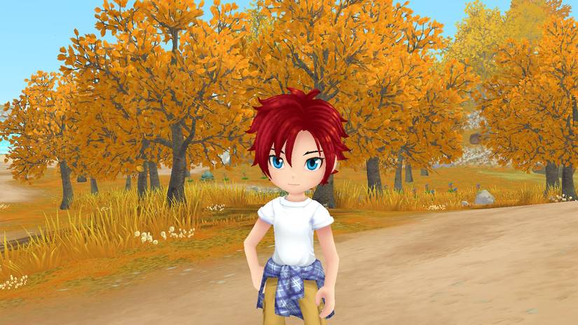 All Bachelors And Bachelorettes In Story Of Seasons: A Wonderful Life