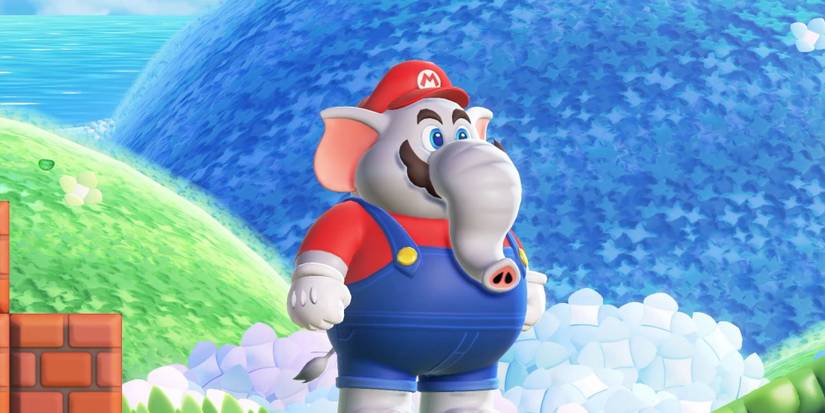 Don't Assume Everyone Will Be An Elephant In Super Mario Bros. Wonder