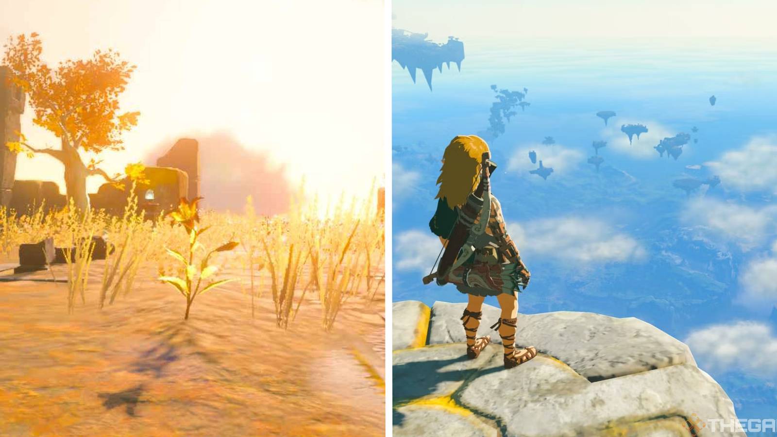 How To Farm Sundelions In Tears Of The Kingdom.