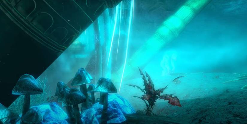 Skyrim: The 10 Rarest Items And How to Obtain Them