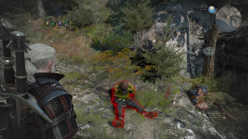 How To Complete Treasure Hunt: Hidden In The Depths In The Witcher 3