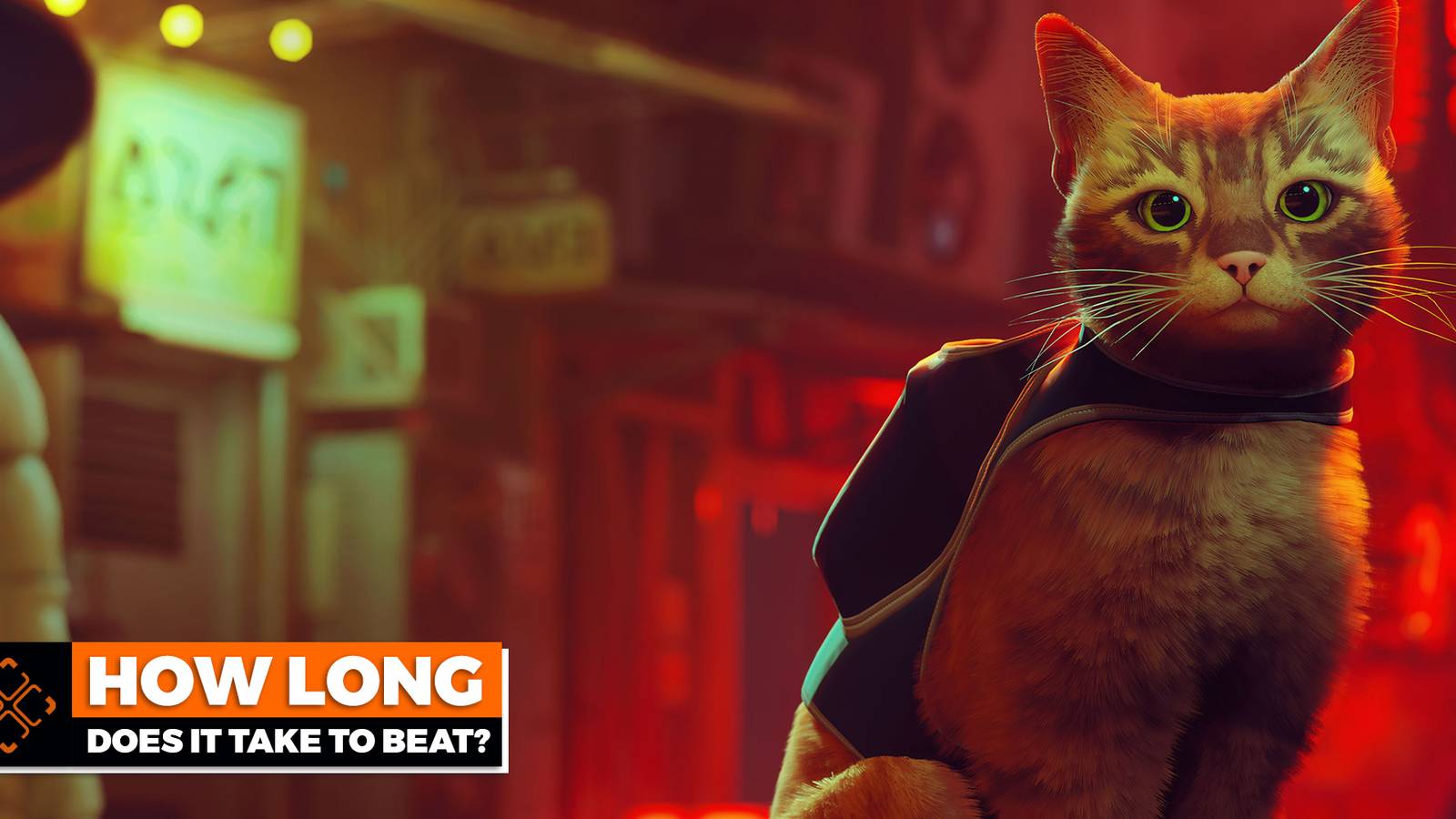 How Does It Take To Finish Stray?