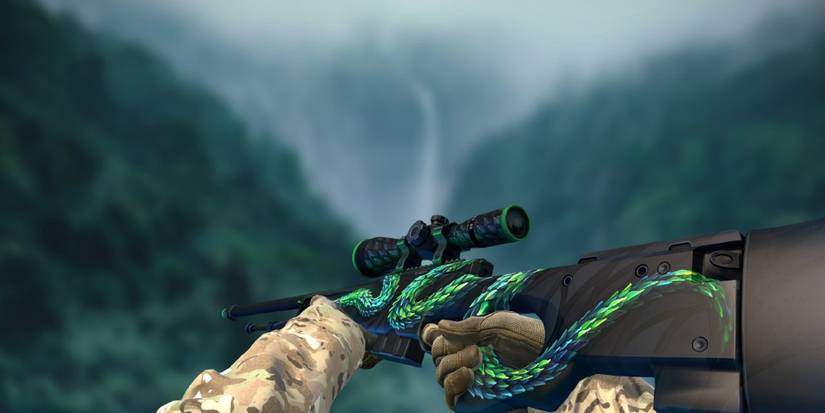 10 Best AWP Skins In CS:GO