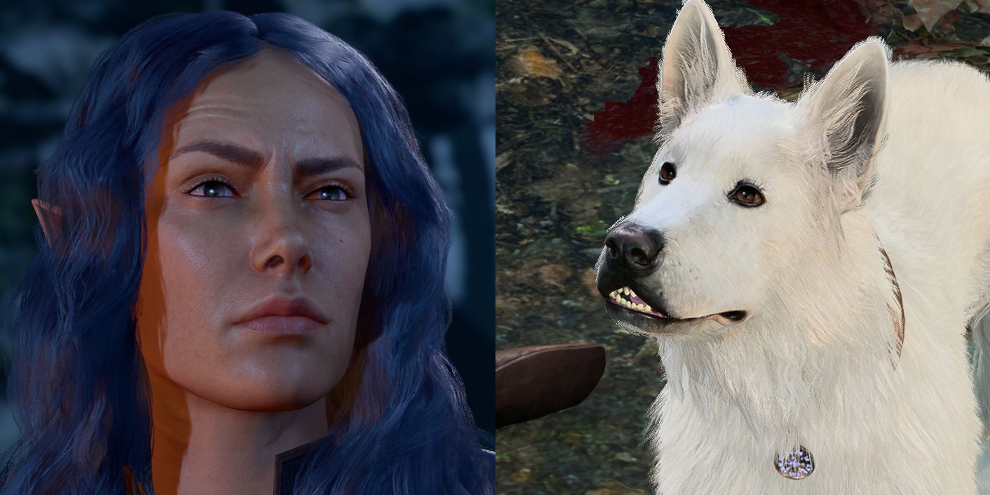 Baldur's Gate 3: How To Get Scratch The Dog