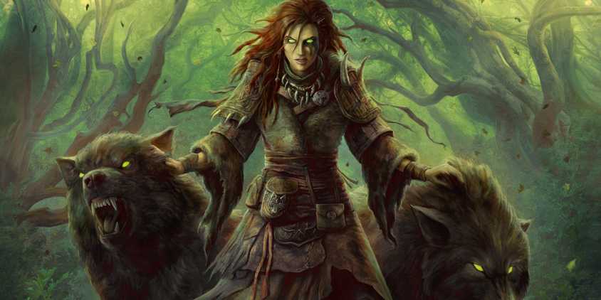 All Actions Explained In DND