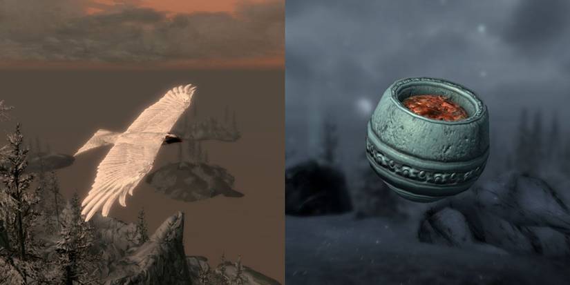 skyrim health potion code