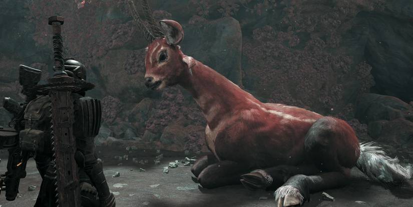 How To Defeat The Corrupted Ravager In Remnant 2