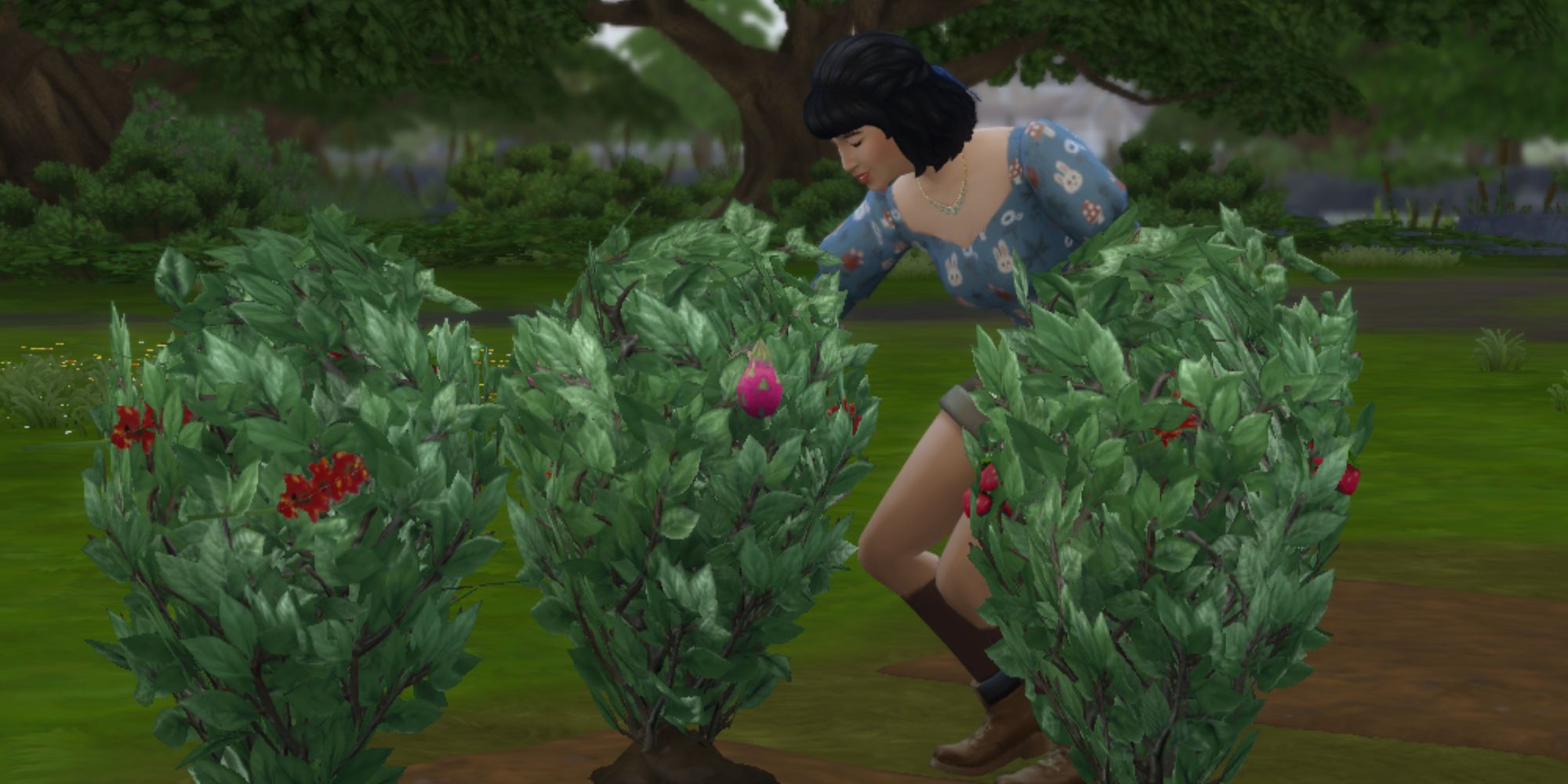 How To Graft A Dragon Fruit Plant In The Sims 4